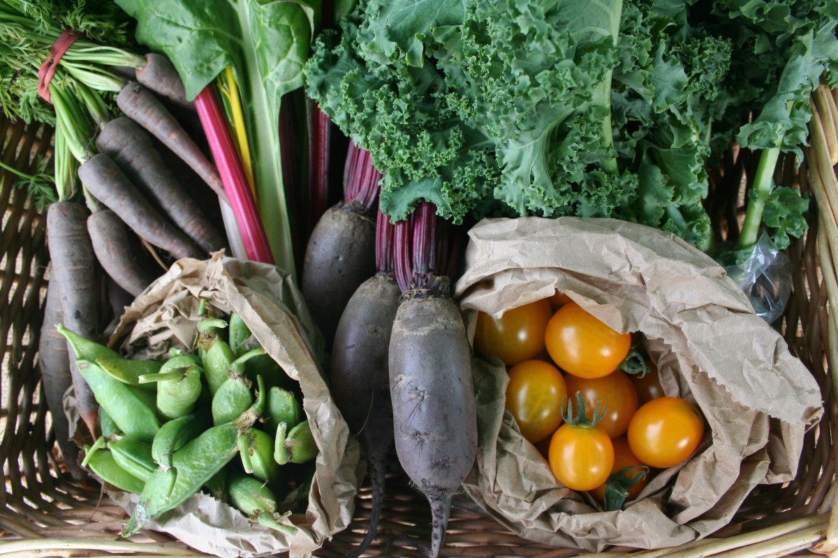 Veg stall – Stockport's urban horticultural hub co-ordinated by the ...
